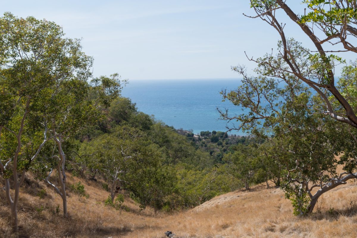 Adara, Atauro Island – Nomad's Land